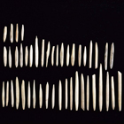 東京国立博物館 - 展示・催し物 展示 平成館（日本の考古・特別展） 縄文時代の生活の道具 作品リスト